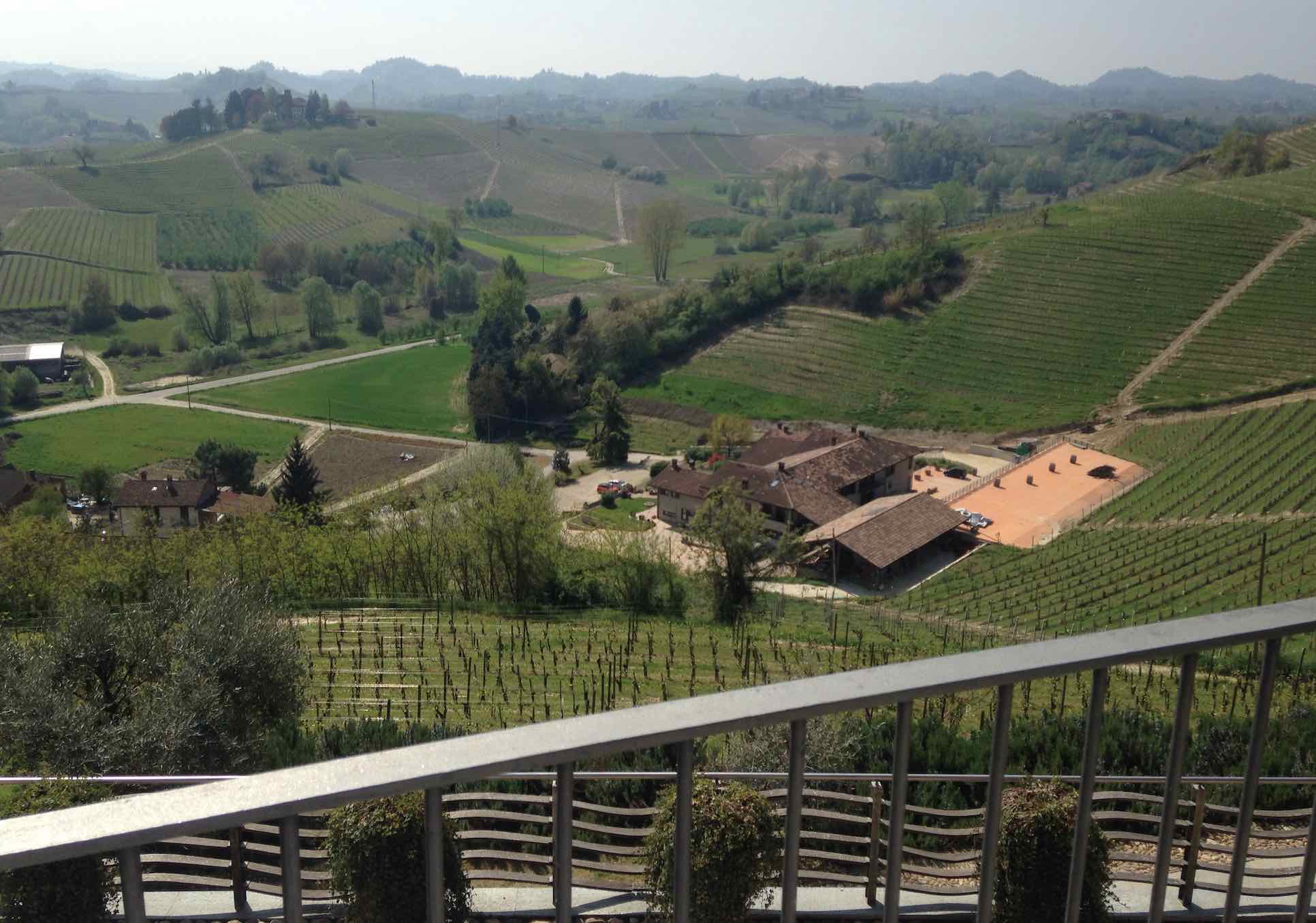 Dalla Regione contributi ai produttori di vino per i locali di ...